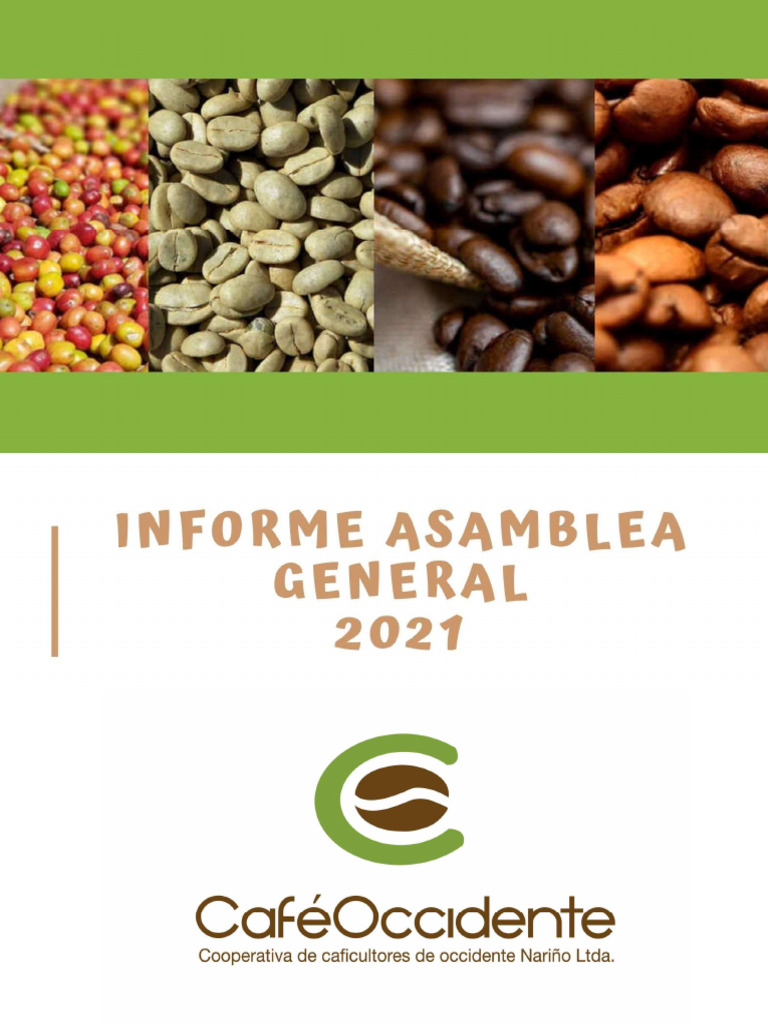 Informe de Gestion 2021 | PDF Informe de Gestion 2021 | PDF
