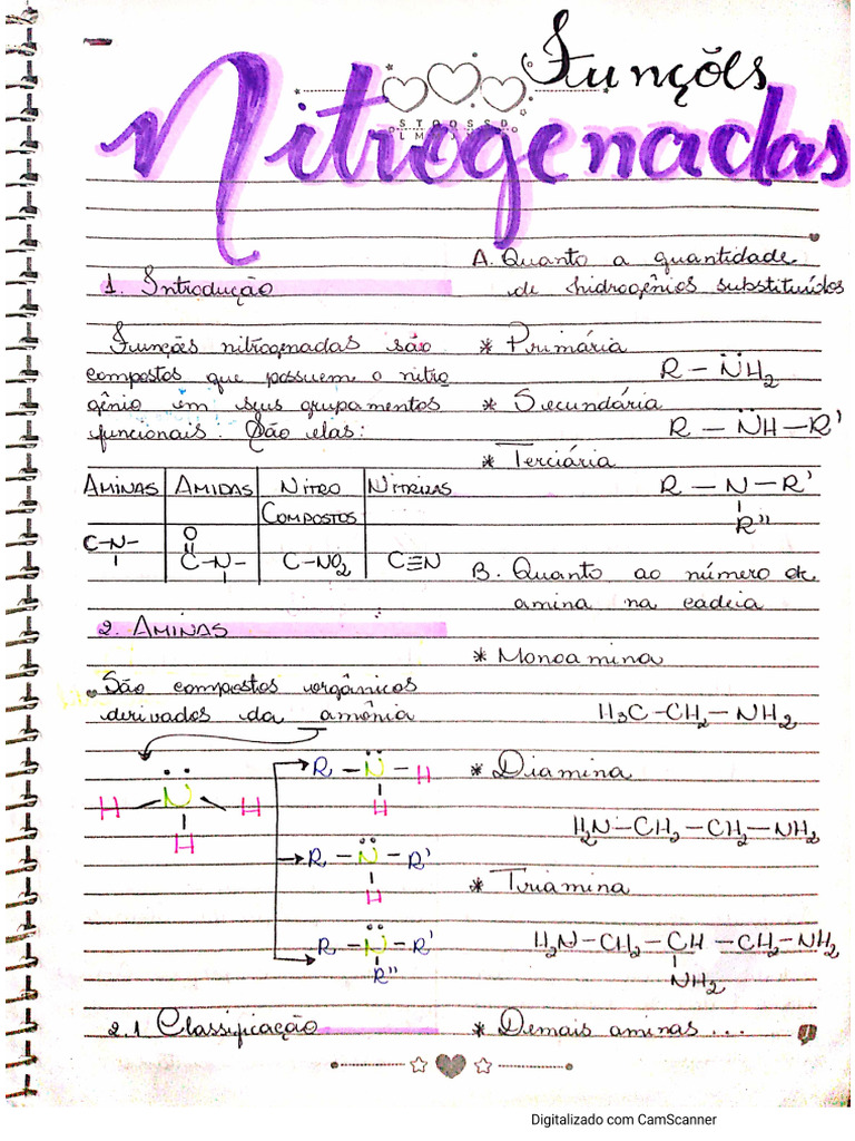 Funções Nitrogenadas | PDF