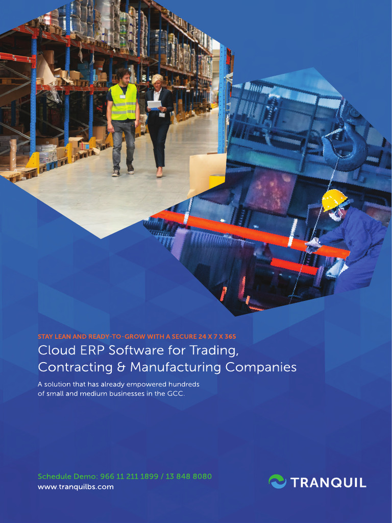 Tranquil Cloud Erp Profile | PDF