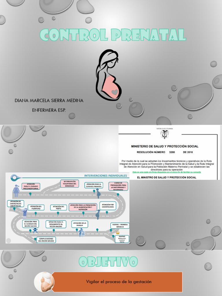 Control Prenatal | PDF