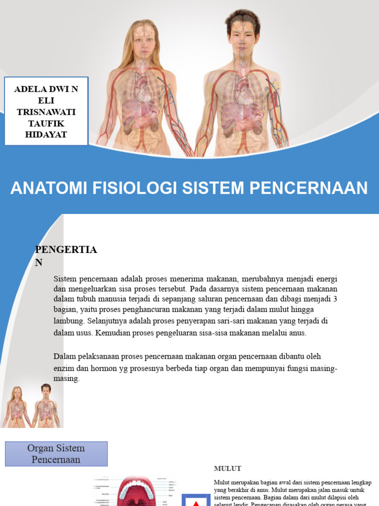 Sistem Anatomi Fisiologis Sistem Pencernaan | PDF | Kesehatan Holistik
