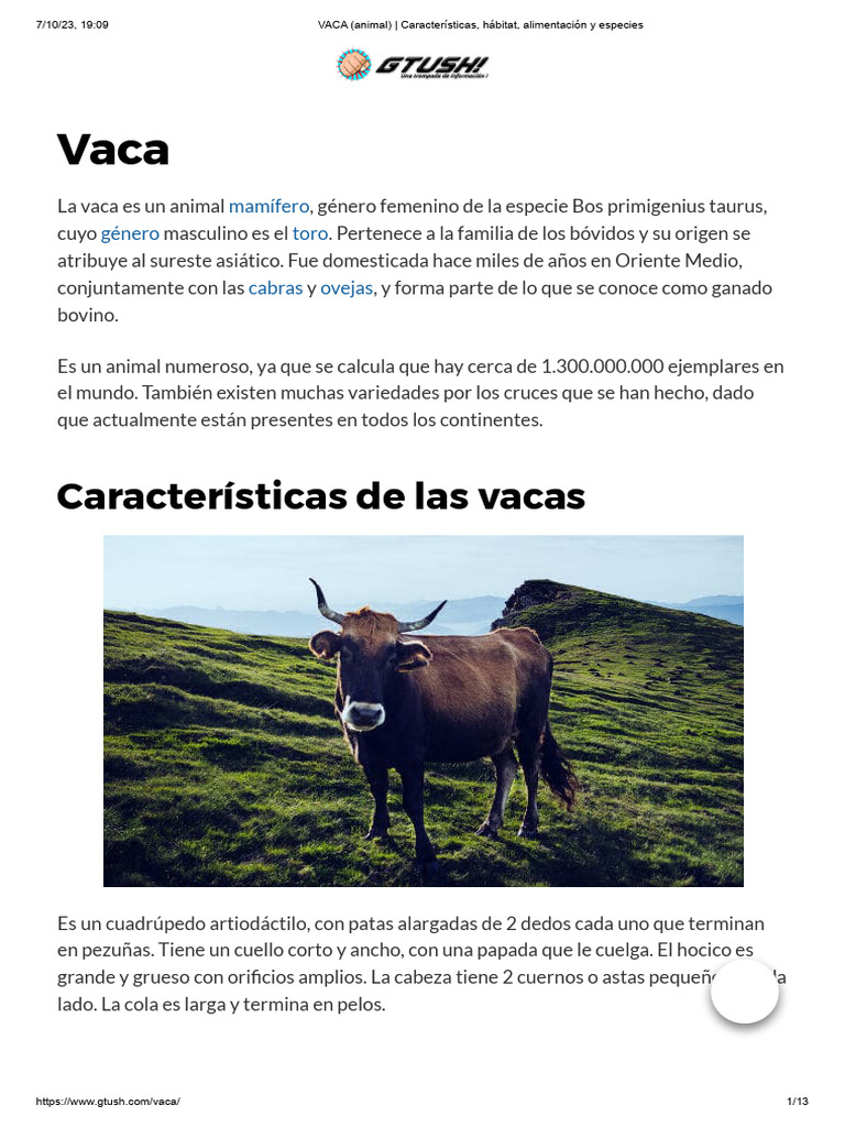 VACA (Animal) - Características, Hábitat, Alimentación y Especies | PDF