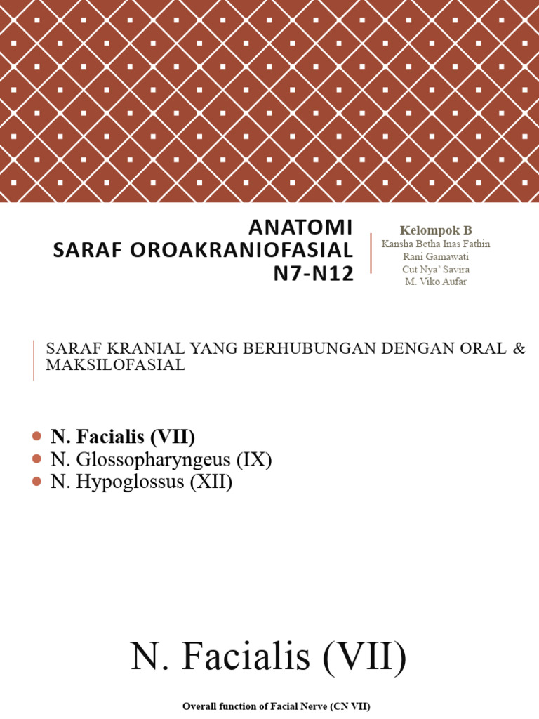 Klp B_Anatomi Saraf Orofasial CN7-12 | PDF