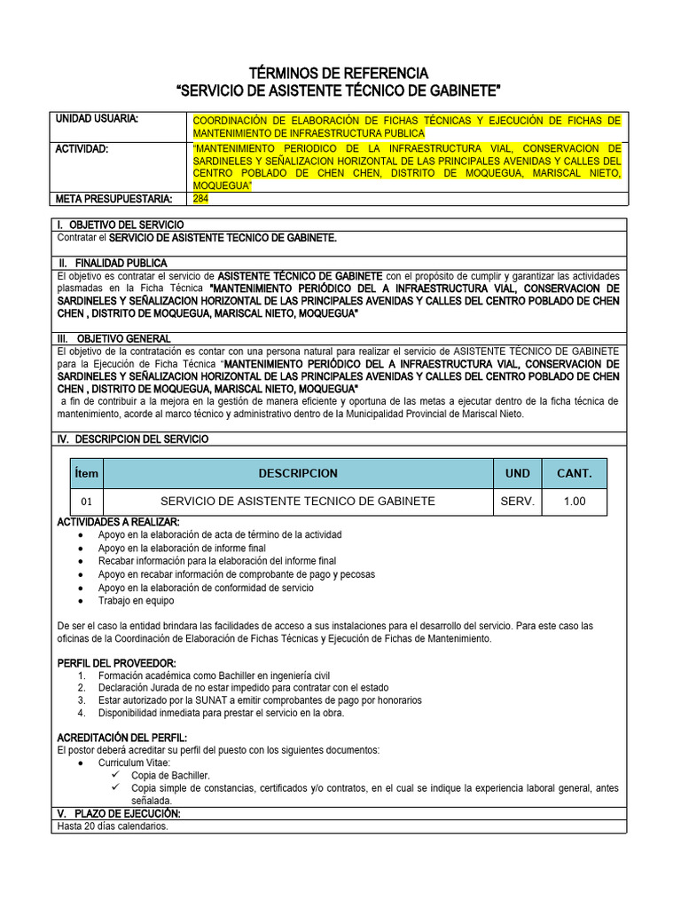 TDR de Asistente Tecnico | PDF