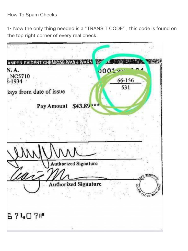 How To Spam Checks | PDF