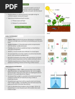 Photosynthesis in Higher Plants | PDF | Photosynthesis | Biochemistry