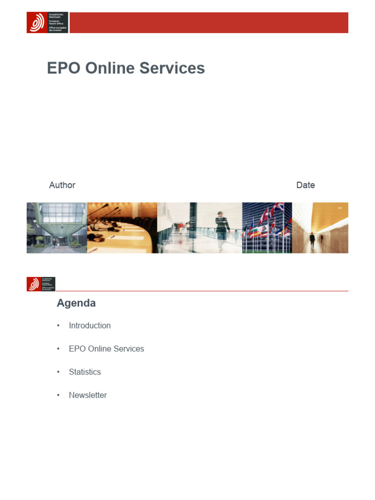 Epo Online Services-Tomescu | PDF