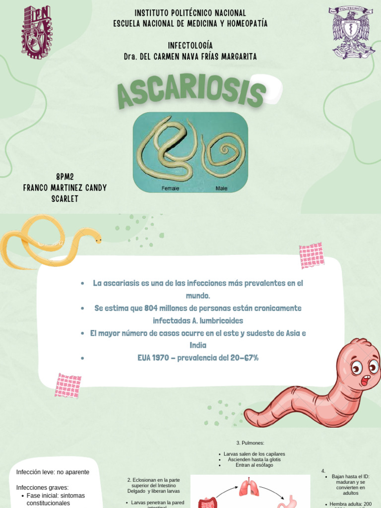 Ascariasis | PDF