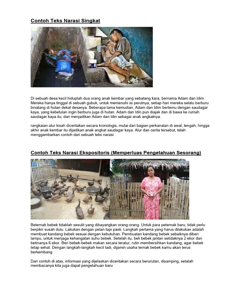 Contoh Teks Narasi Singkat | PDF