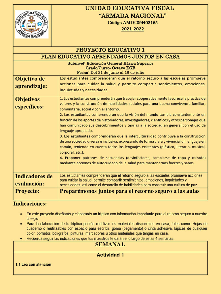 Proyecto 1 Octavo Egb | PDF | Vincent Van Gogh | Leucocito