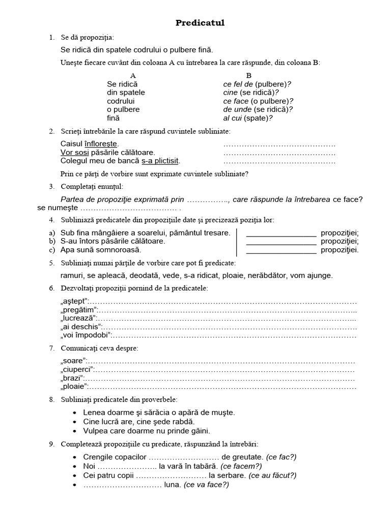Predicatul 3 | PDF
