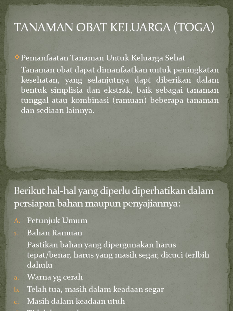 Tanaman Obat Keluarga (Toga) PP | PDF
