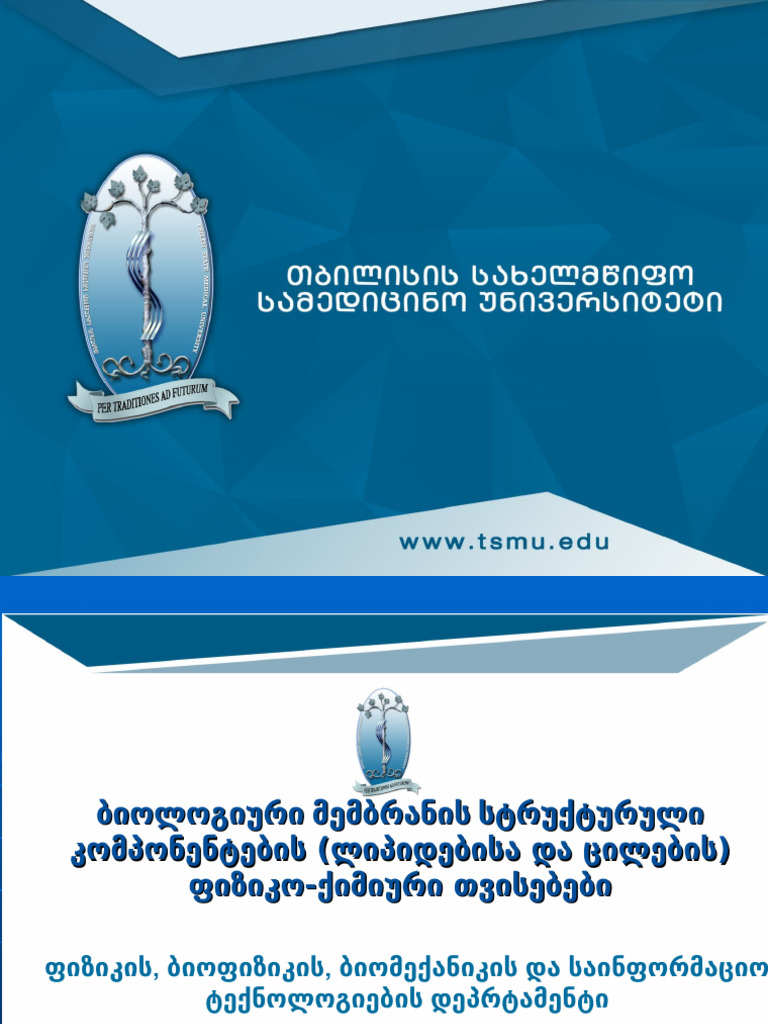 L1.Ppt QB Membrane | PDF