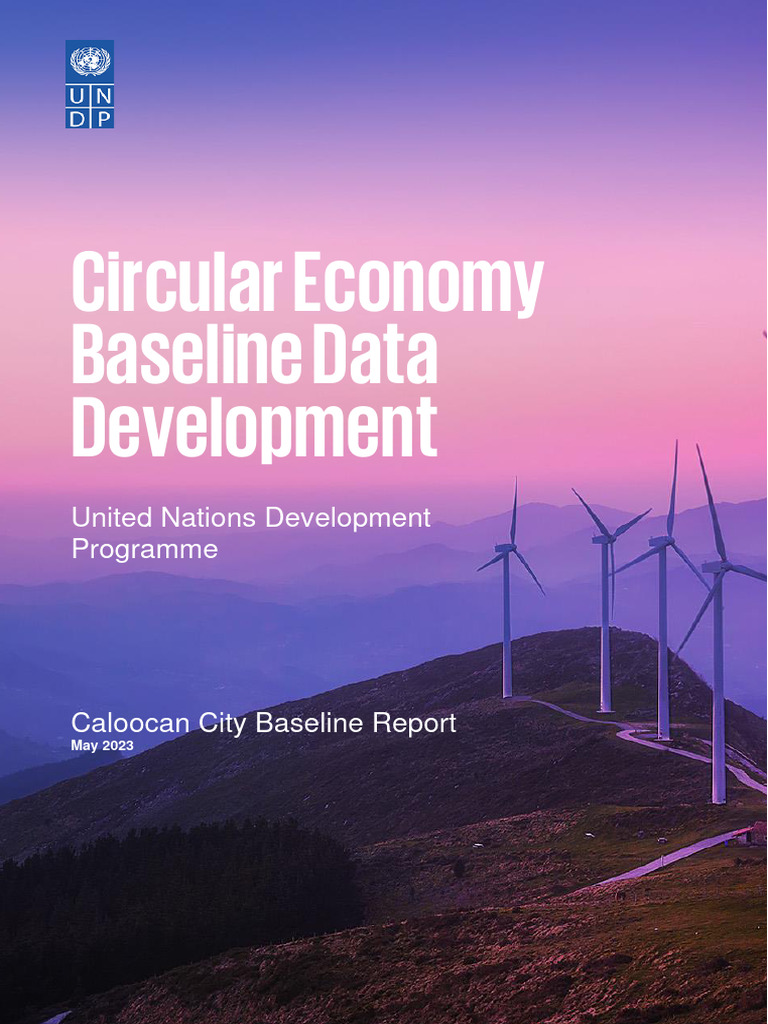Caloocan City Draft Baseline Report - CE - KPMG | PDF | Recycling | Waste