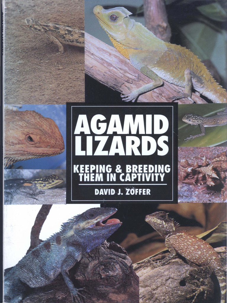 (David J. Zoffer) Agamid Lizards Keeping Breedi | PDF