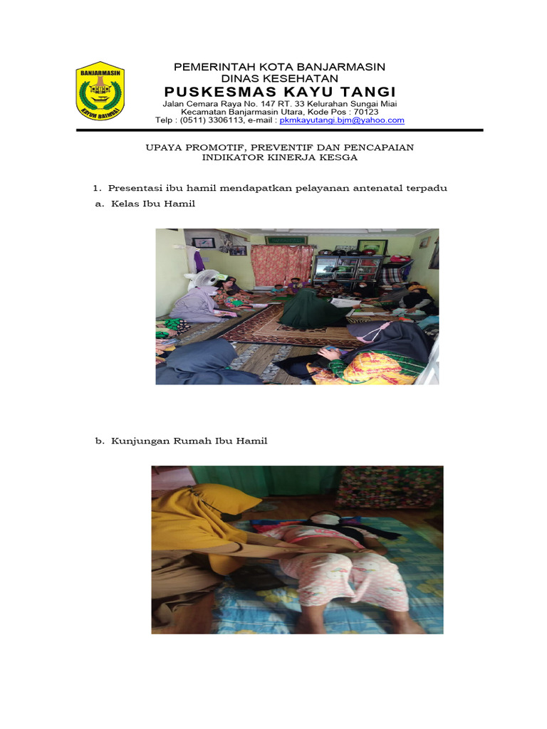 Indikator Kinerja Kesga Puskesmas Kayu Tangi | PDF