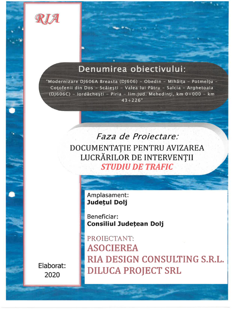 Studiu de Trafic | PDF