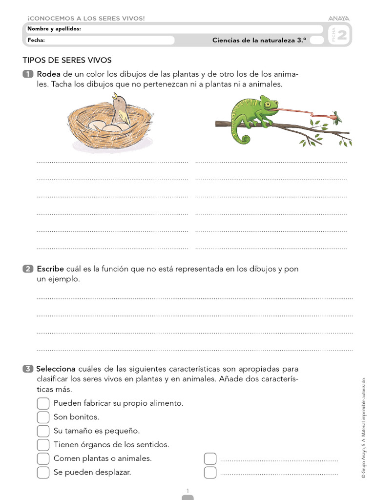 Et04299901 04c 02 Fe 02 cn3p | PDF