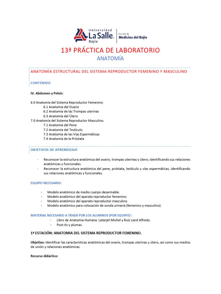 13a Práctica Lab Anatomia de Sistema Reproductor Femenino y Masculino | PDF | Sistema ...