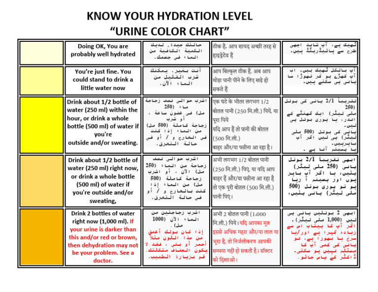 Urin Color chart (1) | PDF