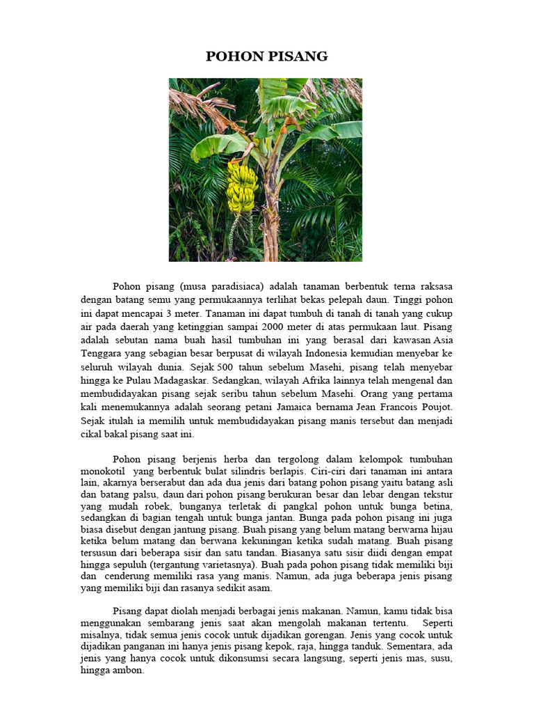 362888081-Laporan-Hasil-Observasi-Tentang-Pohon-Pisang | PDF