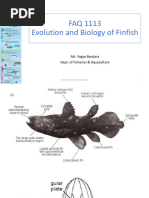 African Lungfish Aestivation Survival | PDF | Lung | Gill