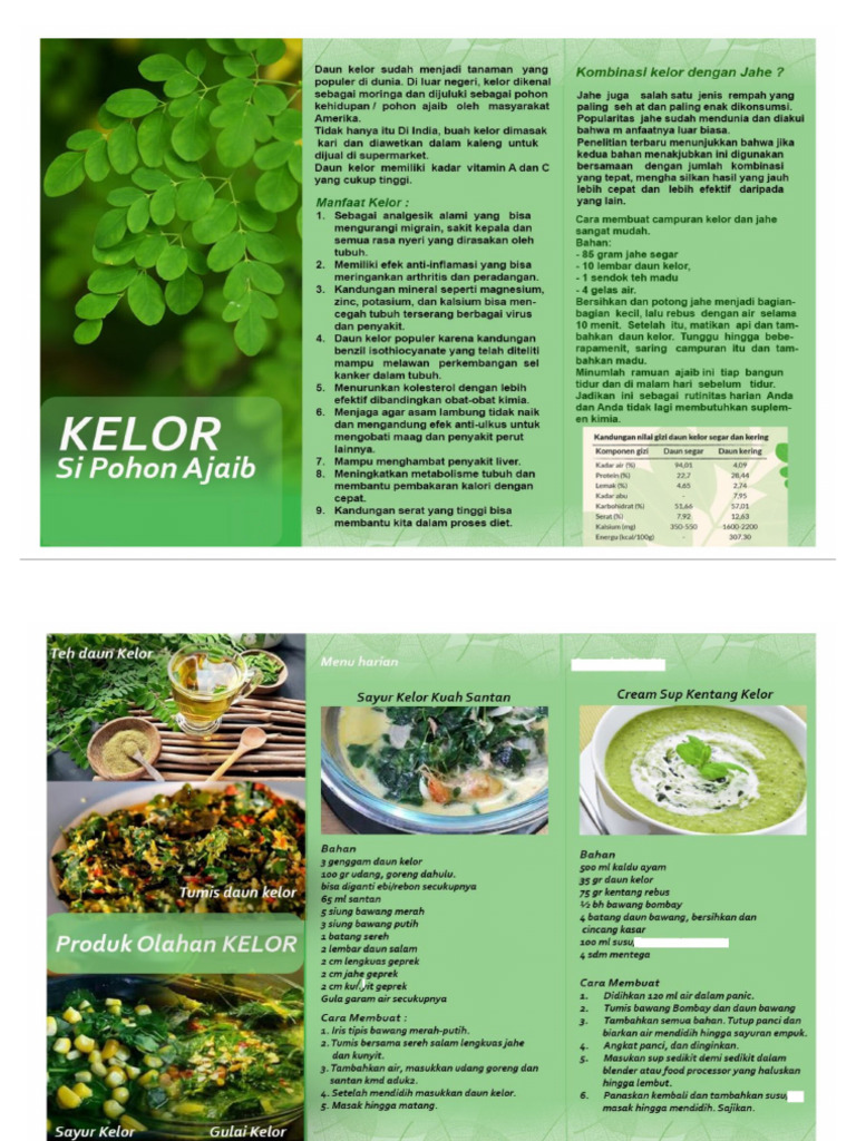 Brosur Kelor Editfinal | PDF