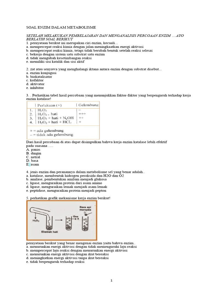 Latihan Soal Enzim Dalam Metabolisme | PDF