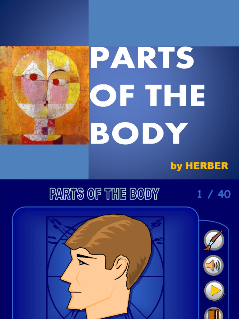 Body Parts Flashcards Overview | PDF | Cooking, Food & Wine | Home & Garden