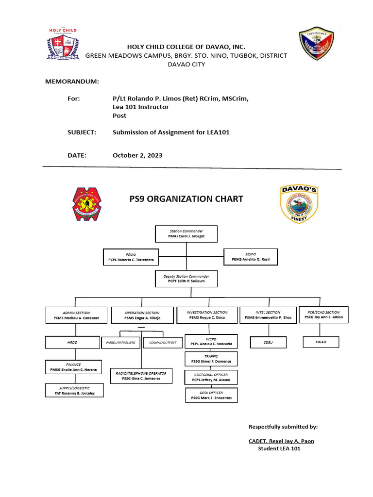 Police Organization Chart | PDF