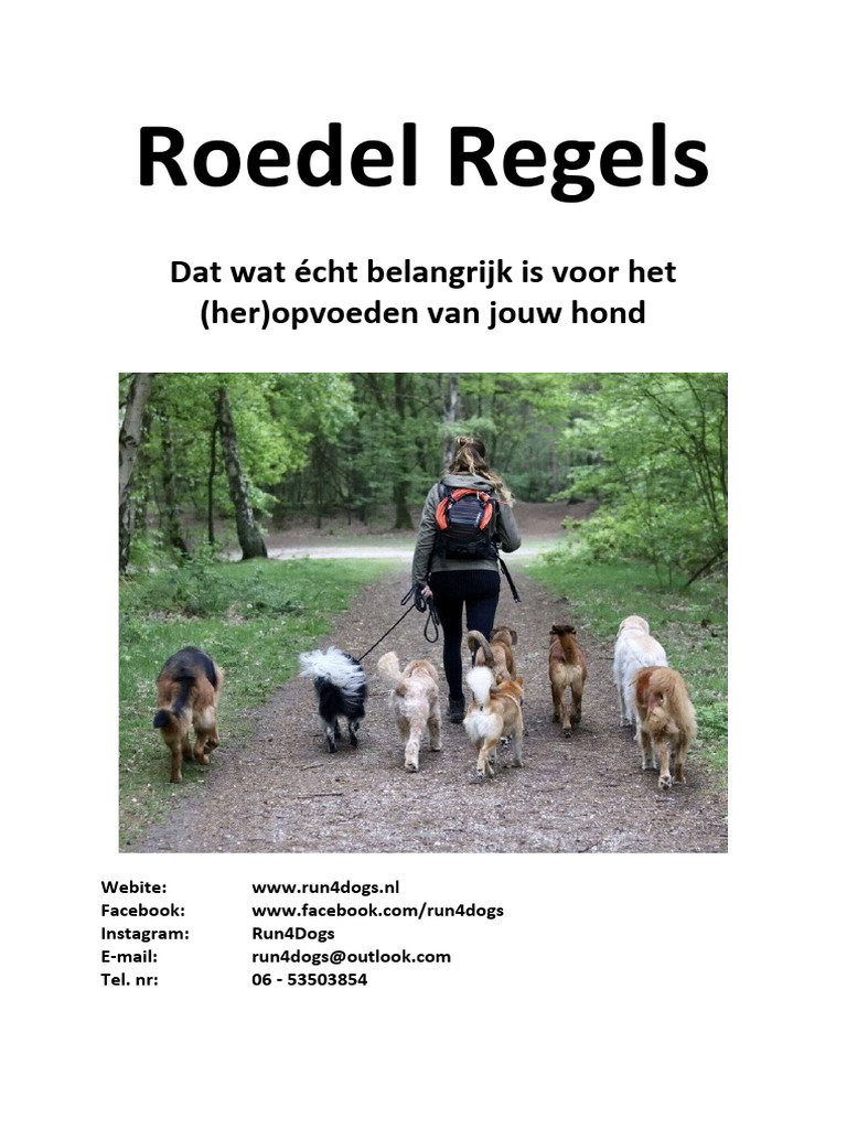 Roedel Regels Boekje | PDF