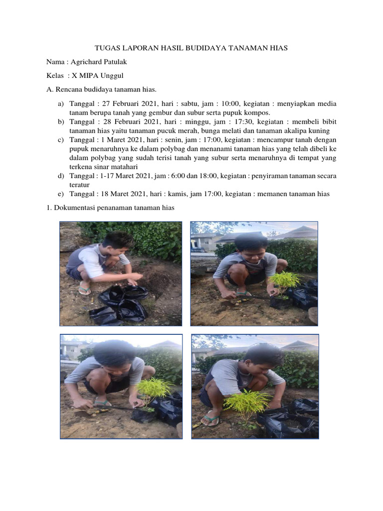 TUGAS PROSES BUDIDAYA TANAMAN HIAS-converted-compressed | PDF | Griya ...