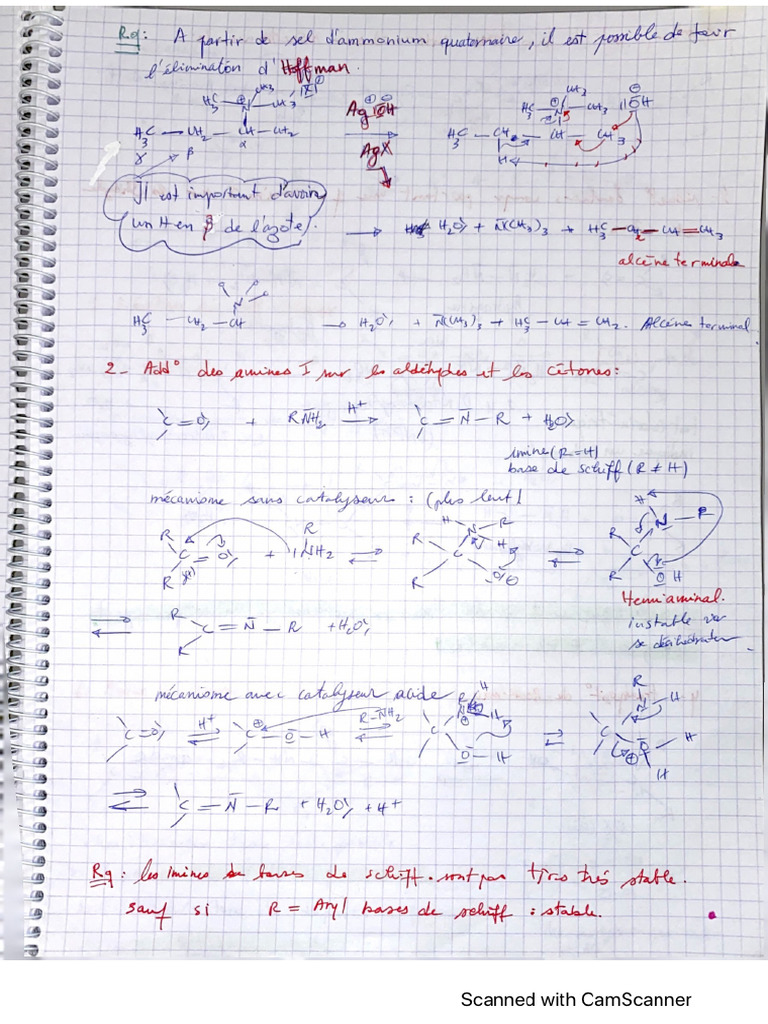 Suite Cours Bio | PDF