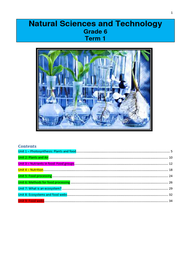 Grade 6 Natural Sciences and Technology Book | PDF