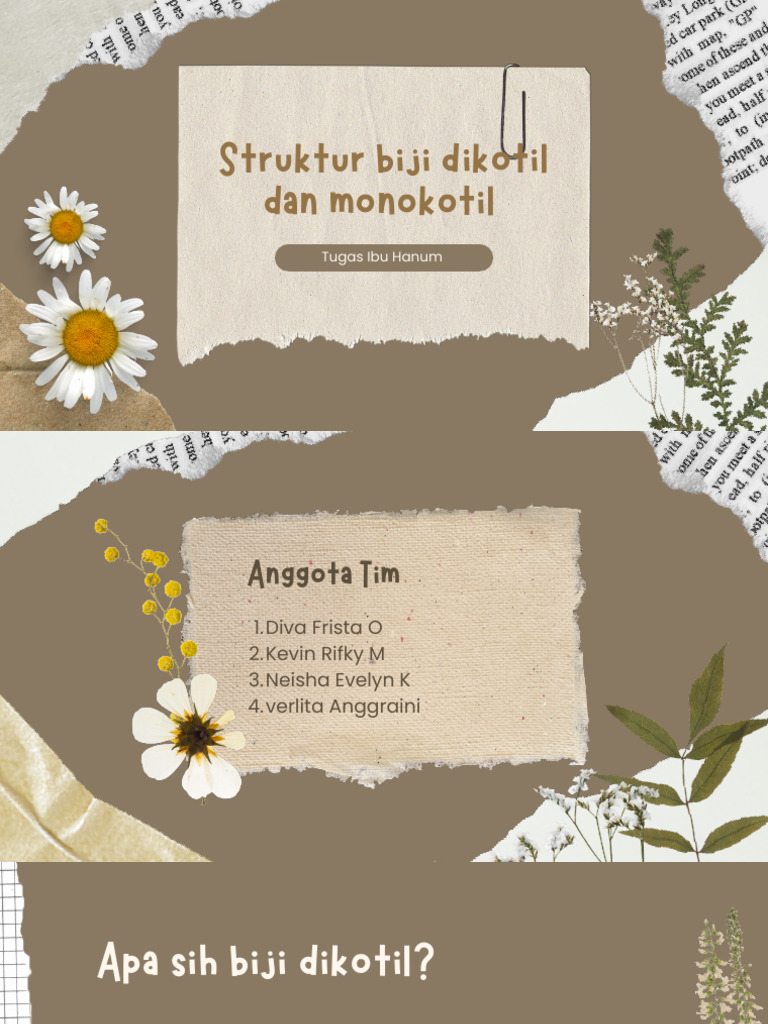 Struktur Dikotil Dan Monokotil | PDF