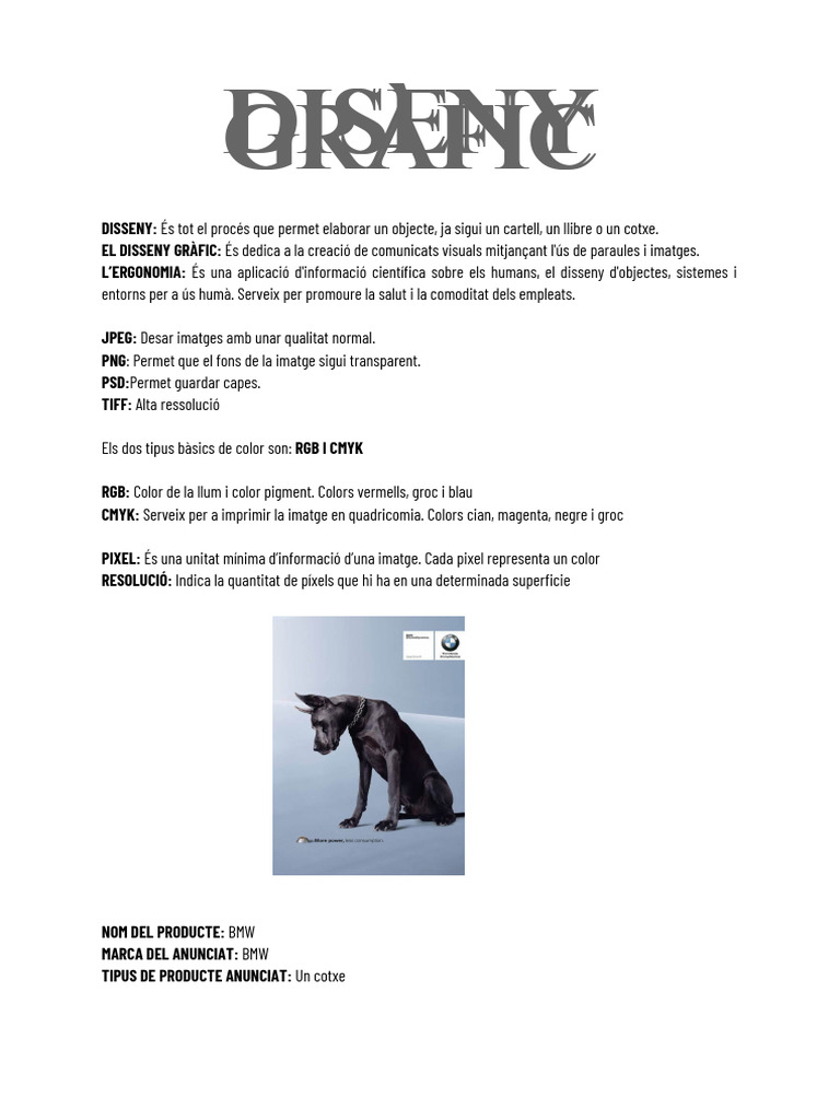 Diseny Gràfic | PDF