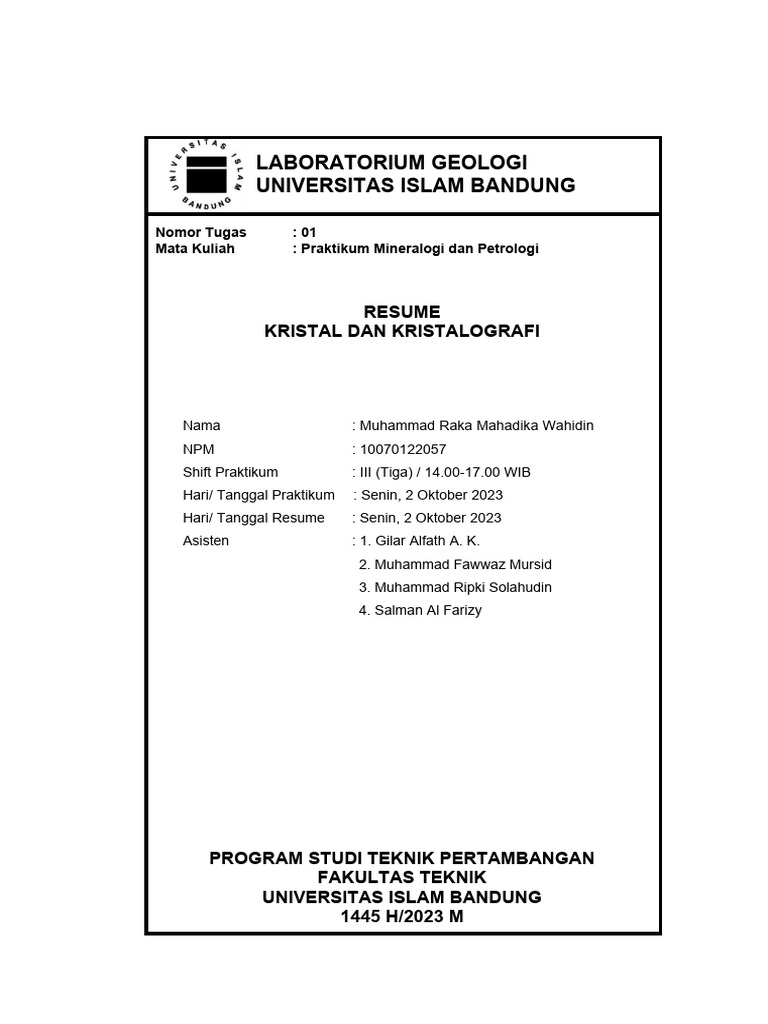 Resume 1 Petro | PDF