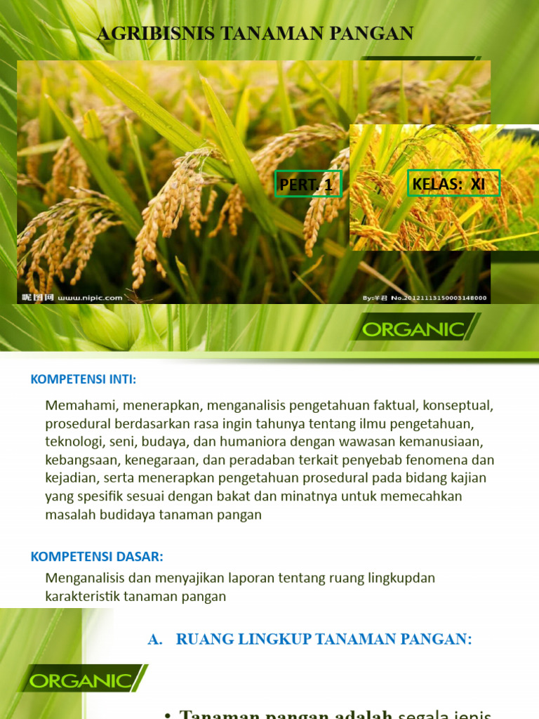 Part. 1 Agb. Tanaman Pangan | PDF