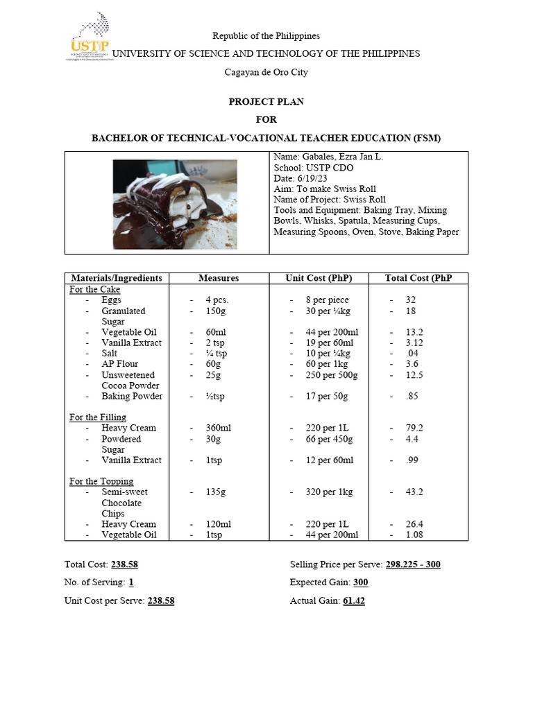 Swiss Roll Project Plan | PDF