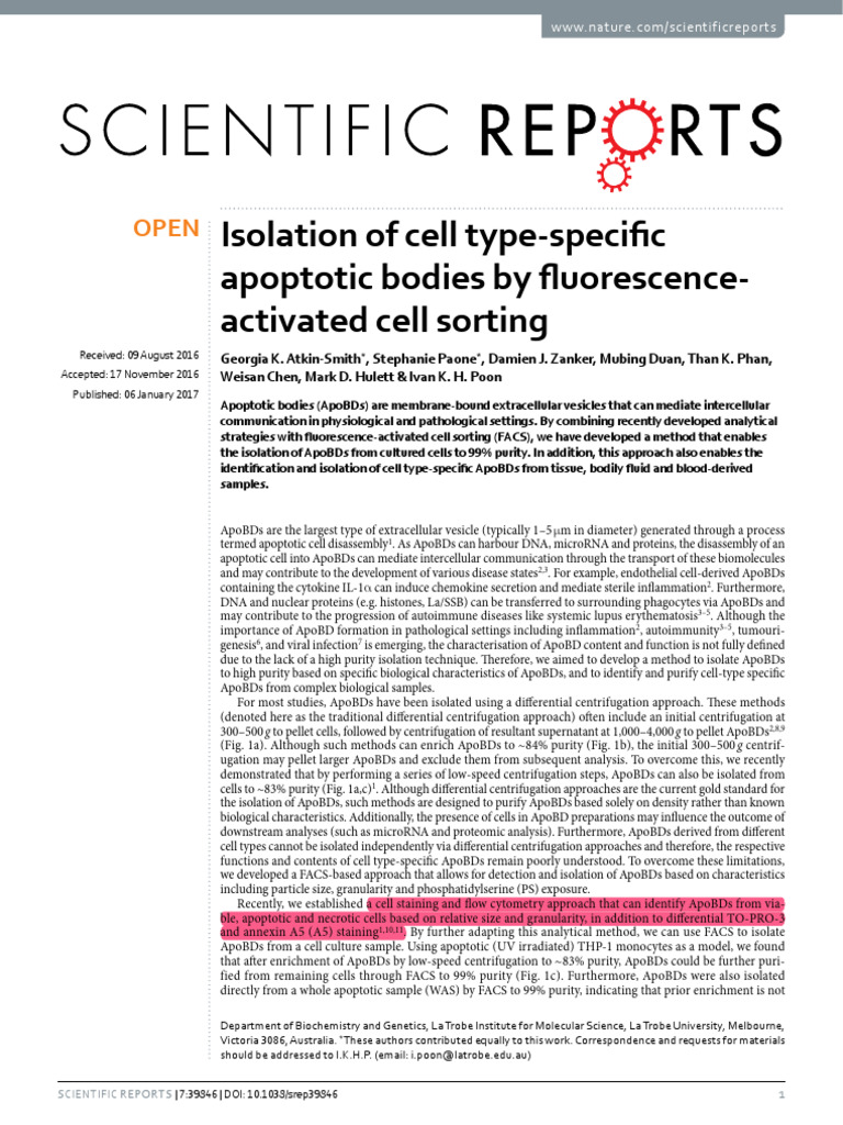 Isolation of Cell Type-Specific Apoptotic Bodies by FACS | PDF