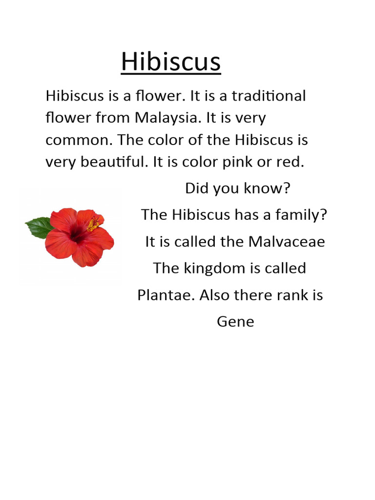 Hibiscus FLOWER | PDF