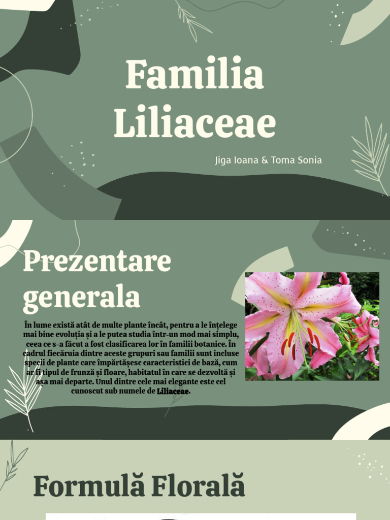Familia Liliaceae | PDF