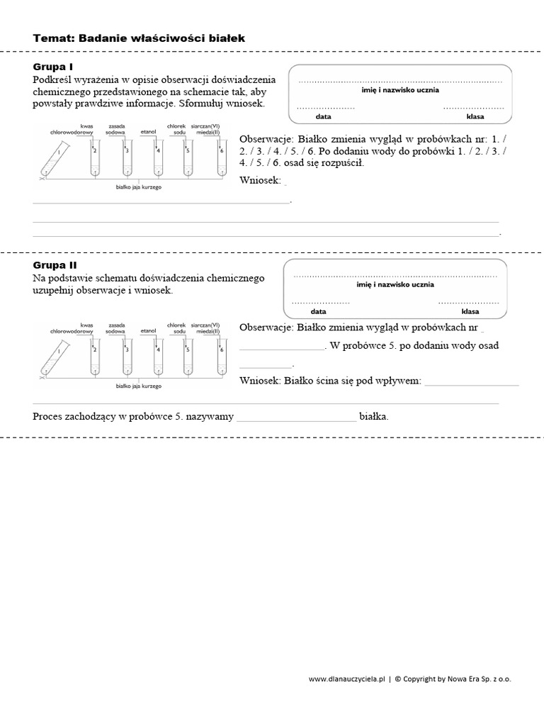 Kartkowka 15 Badanie Wlasciwosci Bialek | PDF