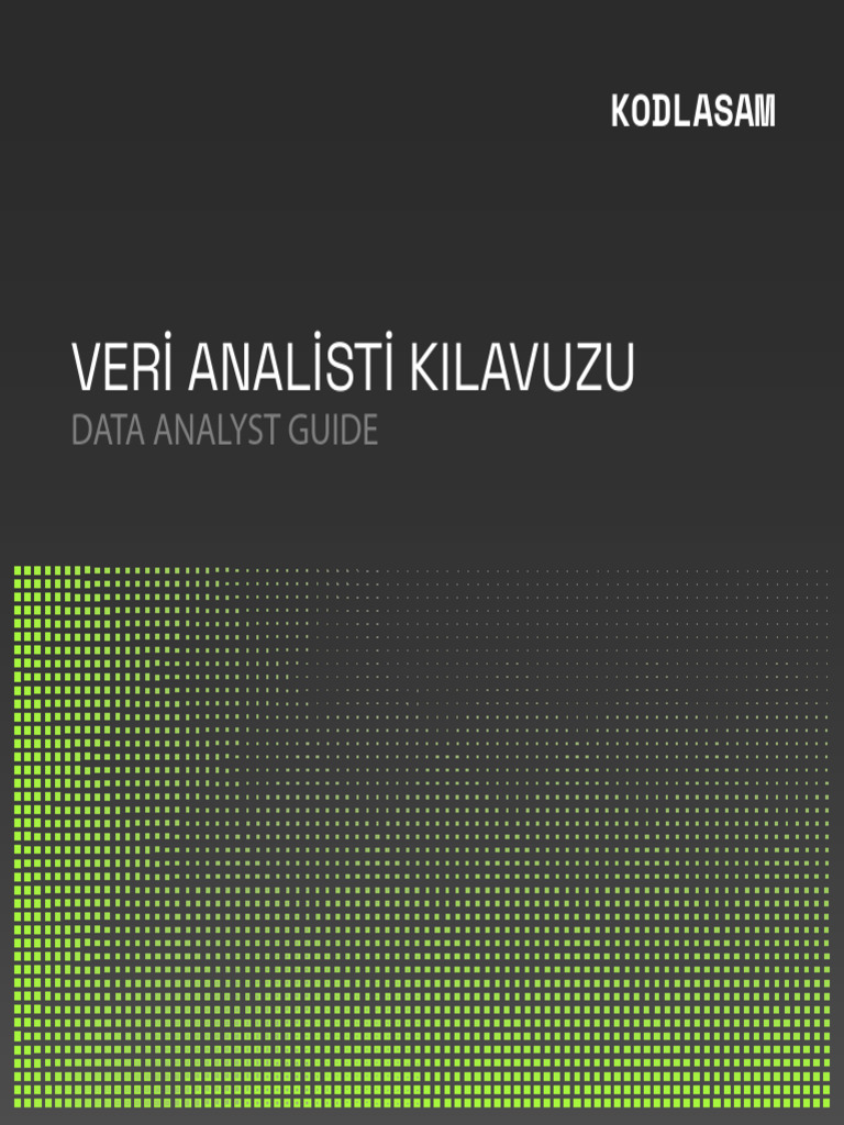 Data Analyst Guide | PDF