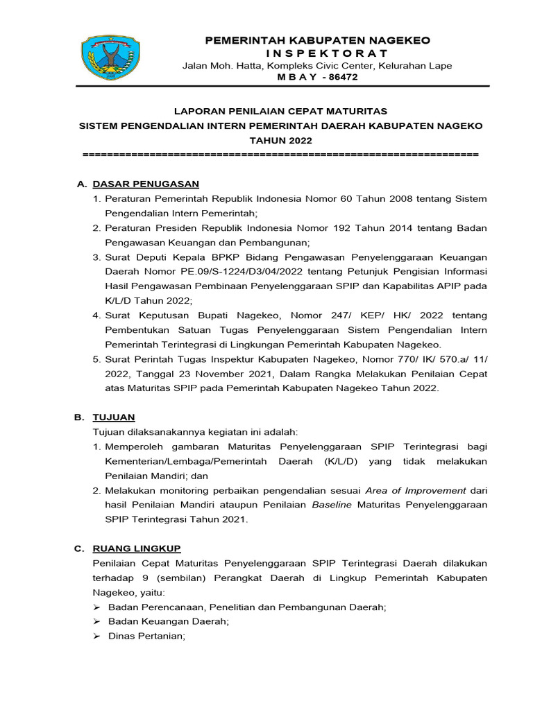 Laporan Penilaian Cepat Maturitas SPIP | PDF