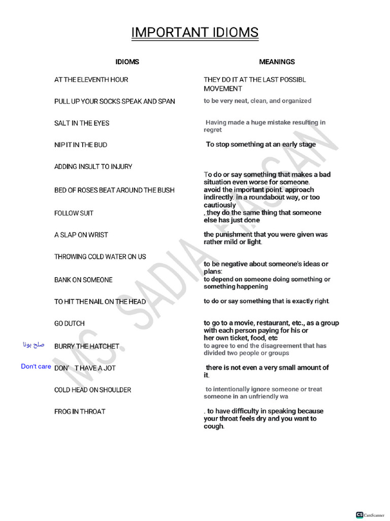 Bwcs Idiom Miss Sadia | PDF