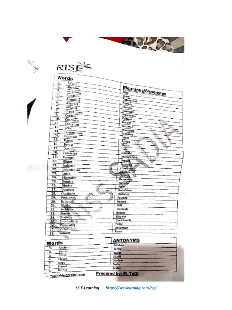 BWCS Miss Sadia | PDF