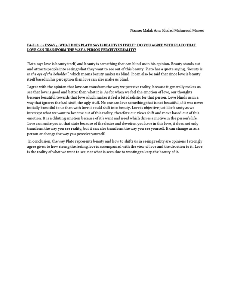 Malak Mareei FA-E 181.02 Essay 4 | PDF