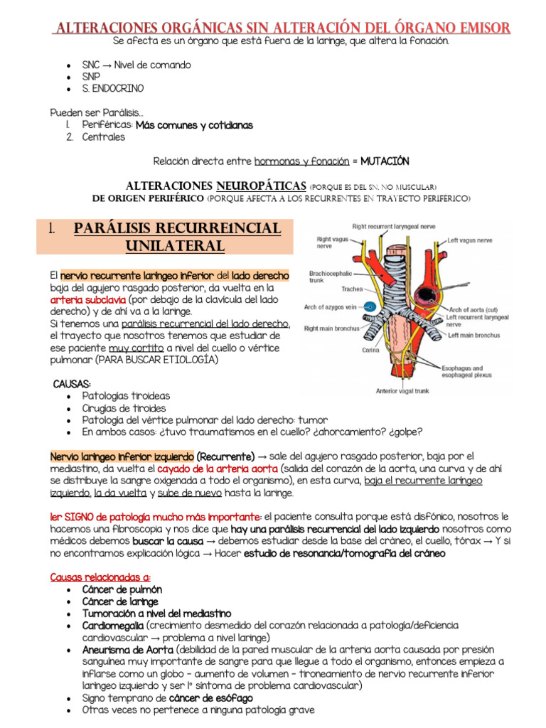 Parálisis Laríngea | PDF