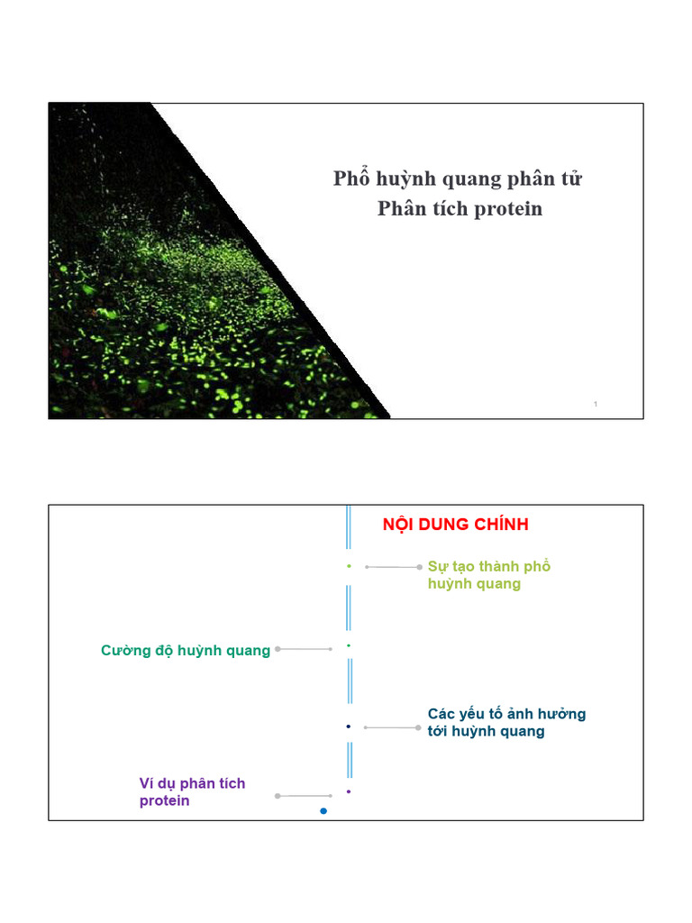 PH Hu NH Quang Phân T . Phân Tích Protein | PDF